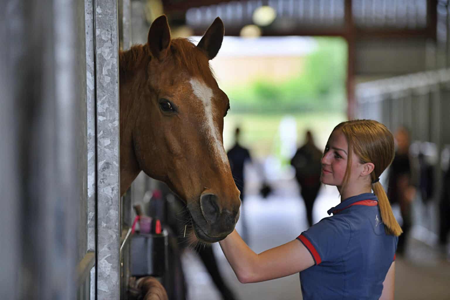 Suffolk Rural - Suffolk New College