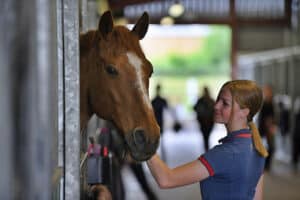 Suffolk Rural - Suffolk New College
