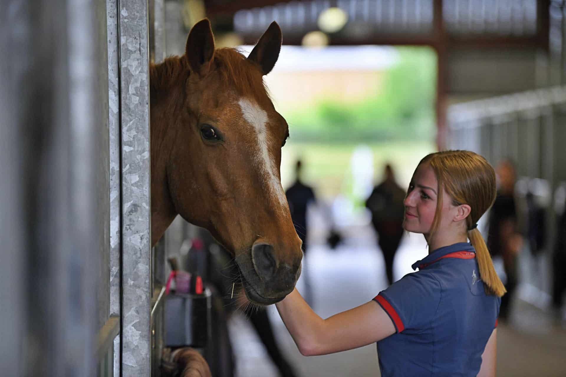 Suffolk Rural - Suffolk New College