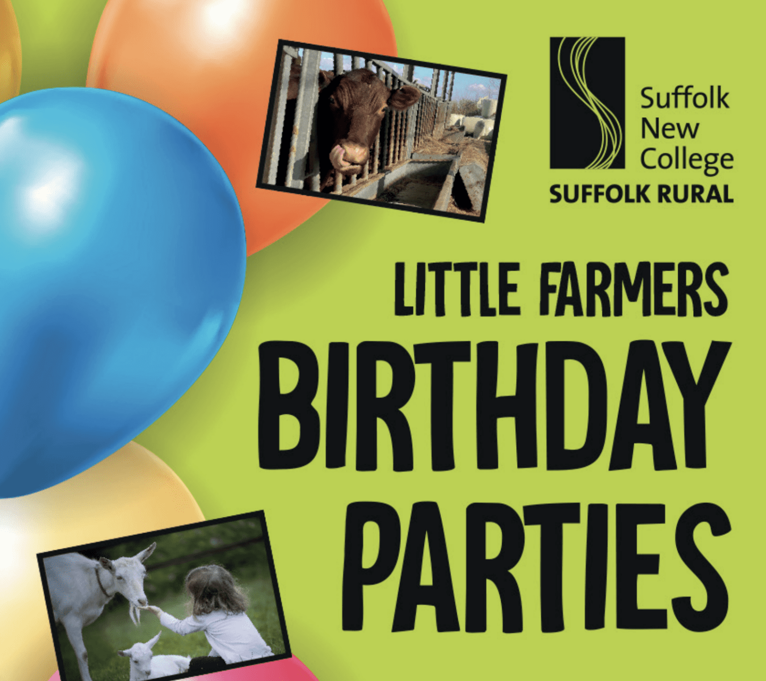 The Farm - Suffolk New College