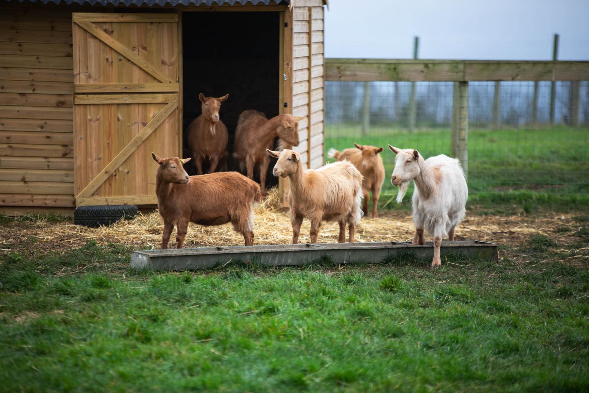 Events - Suffolk New College